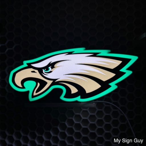 Philadelphia Eagles LED Bar Light – Sign Guy